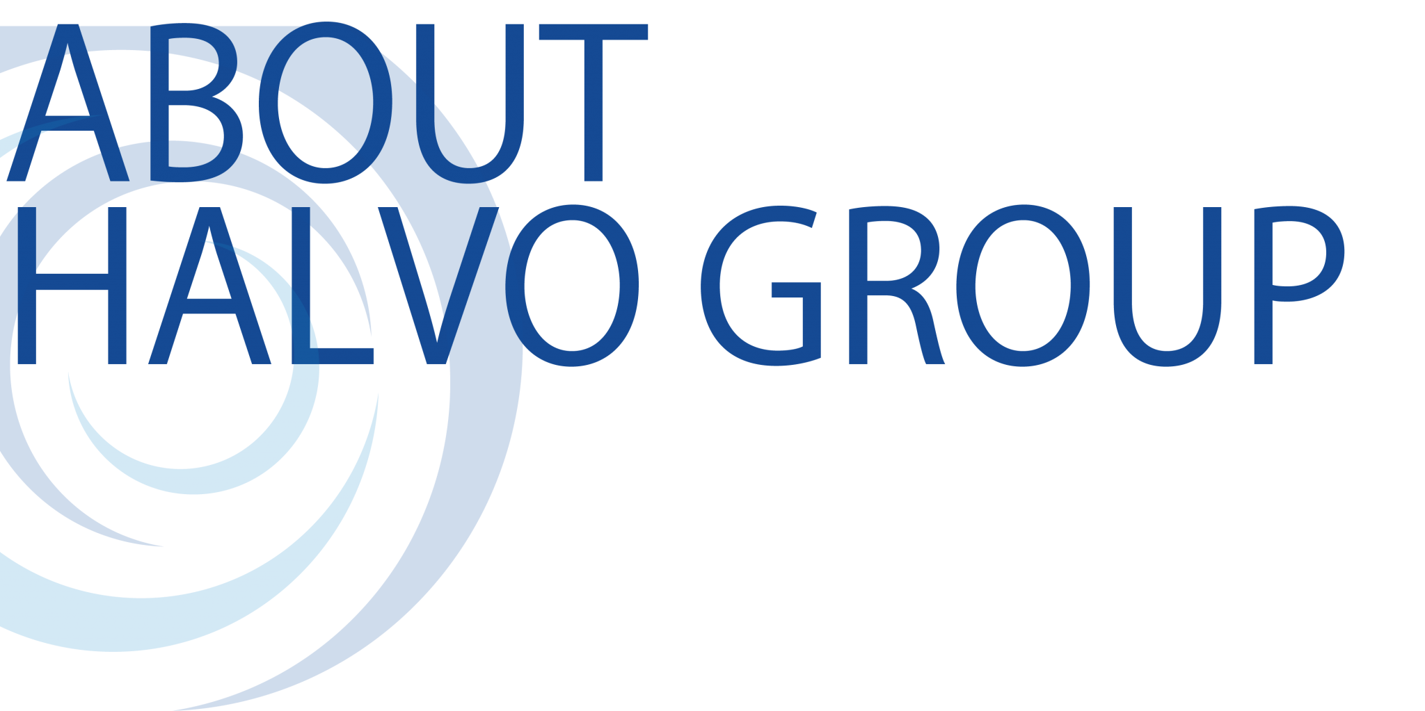 株式会社HALVOホールディングス - 株式会社HALVOホールディングス