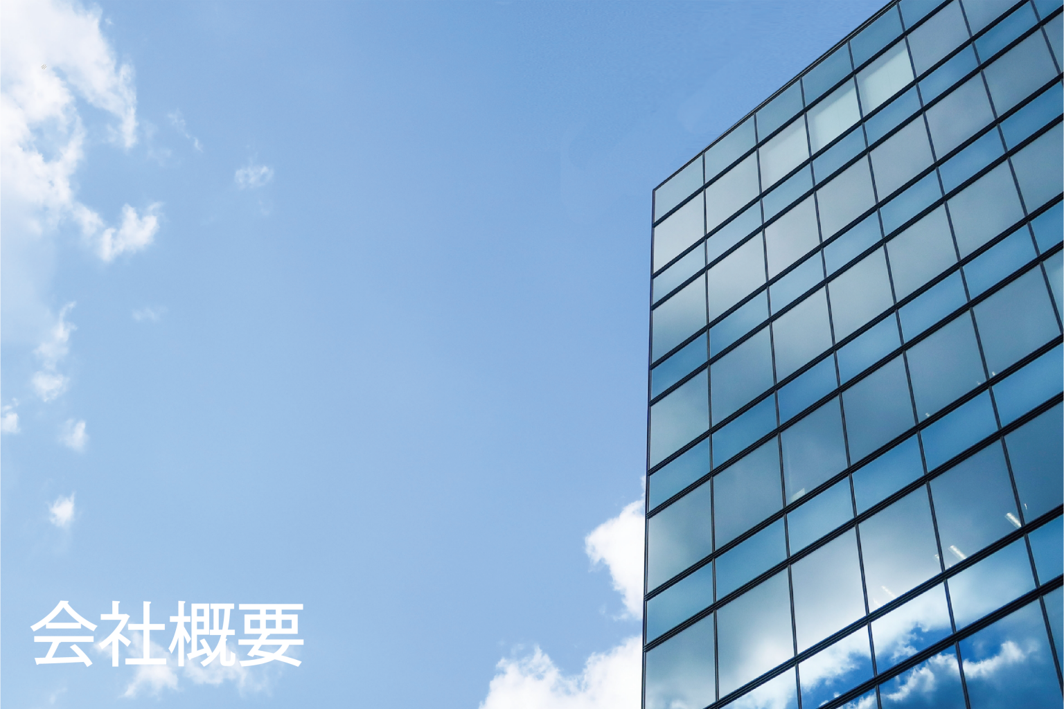 株式会社HALVOホールディングス - 株式会社HALVOホールディングス