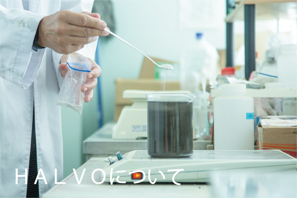 株式会社HALVOホールディングス - 株式会社HALVOホールディングス