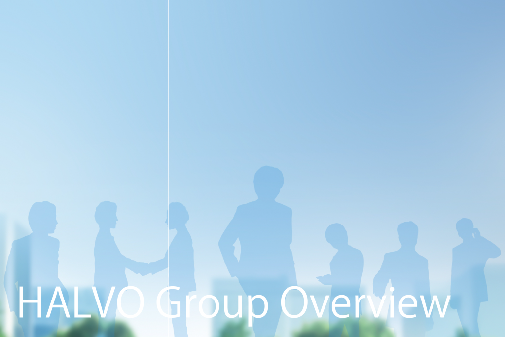 HALVO HOLDINGS CO., LTD. - 株式会社HALVOホールディングス